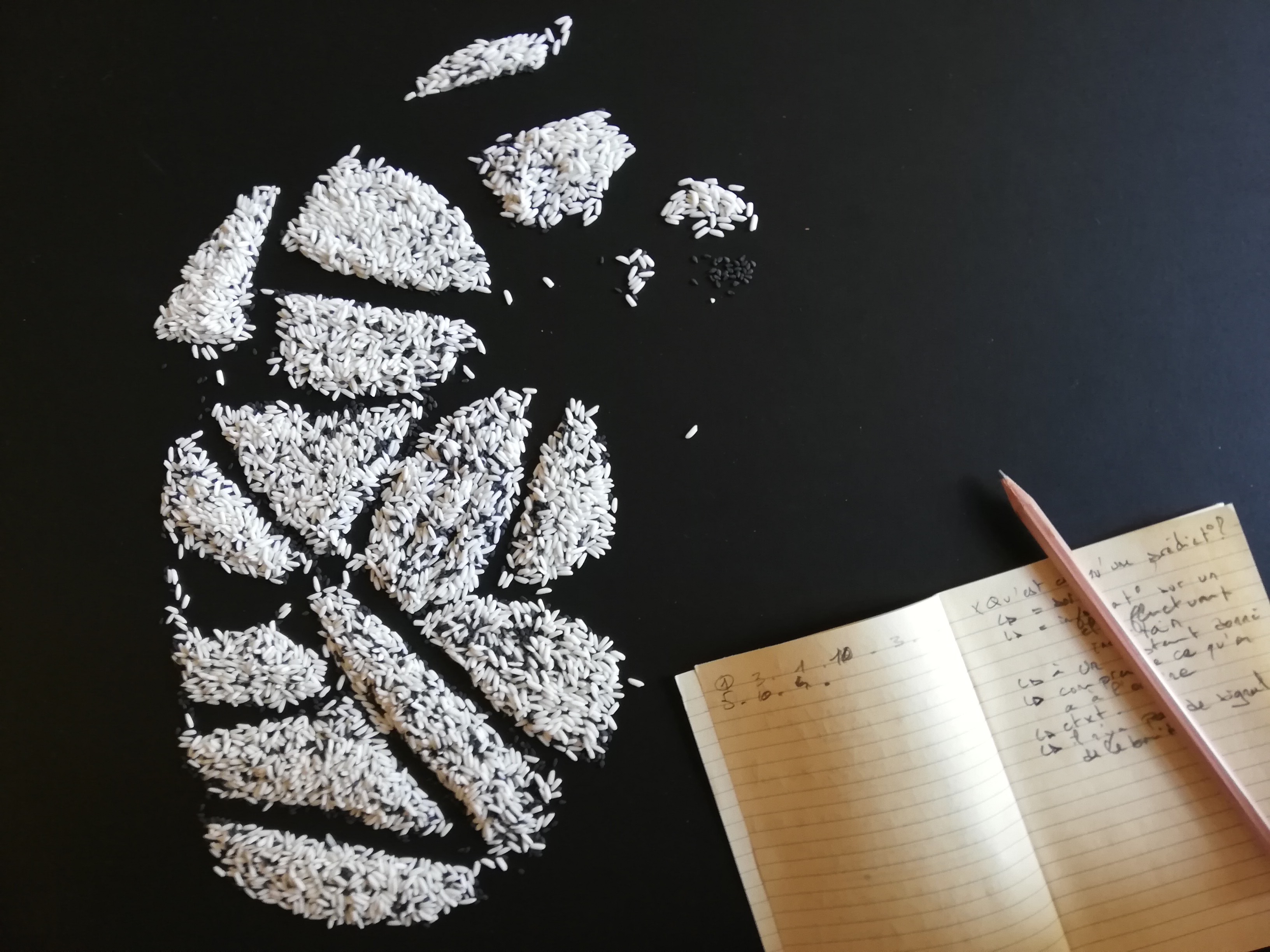 Résidence en entreprise : Nour Awada en immersion chez Ekimetrics - Arroi